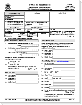 Online software access for you to complete your US immigration application