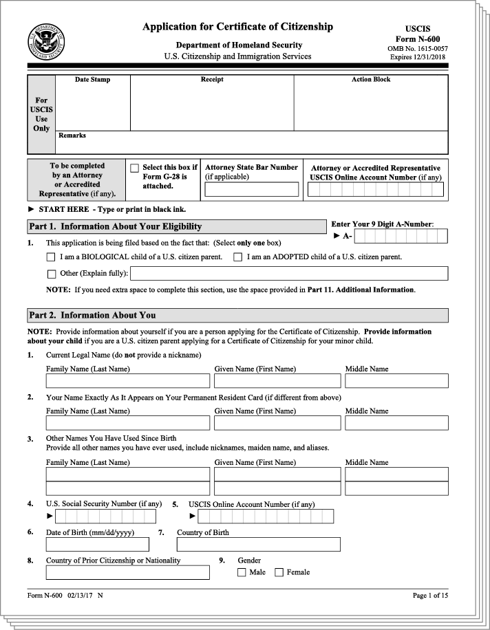 Online software access for you to complete your US immigration application